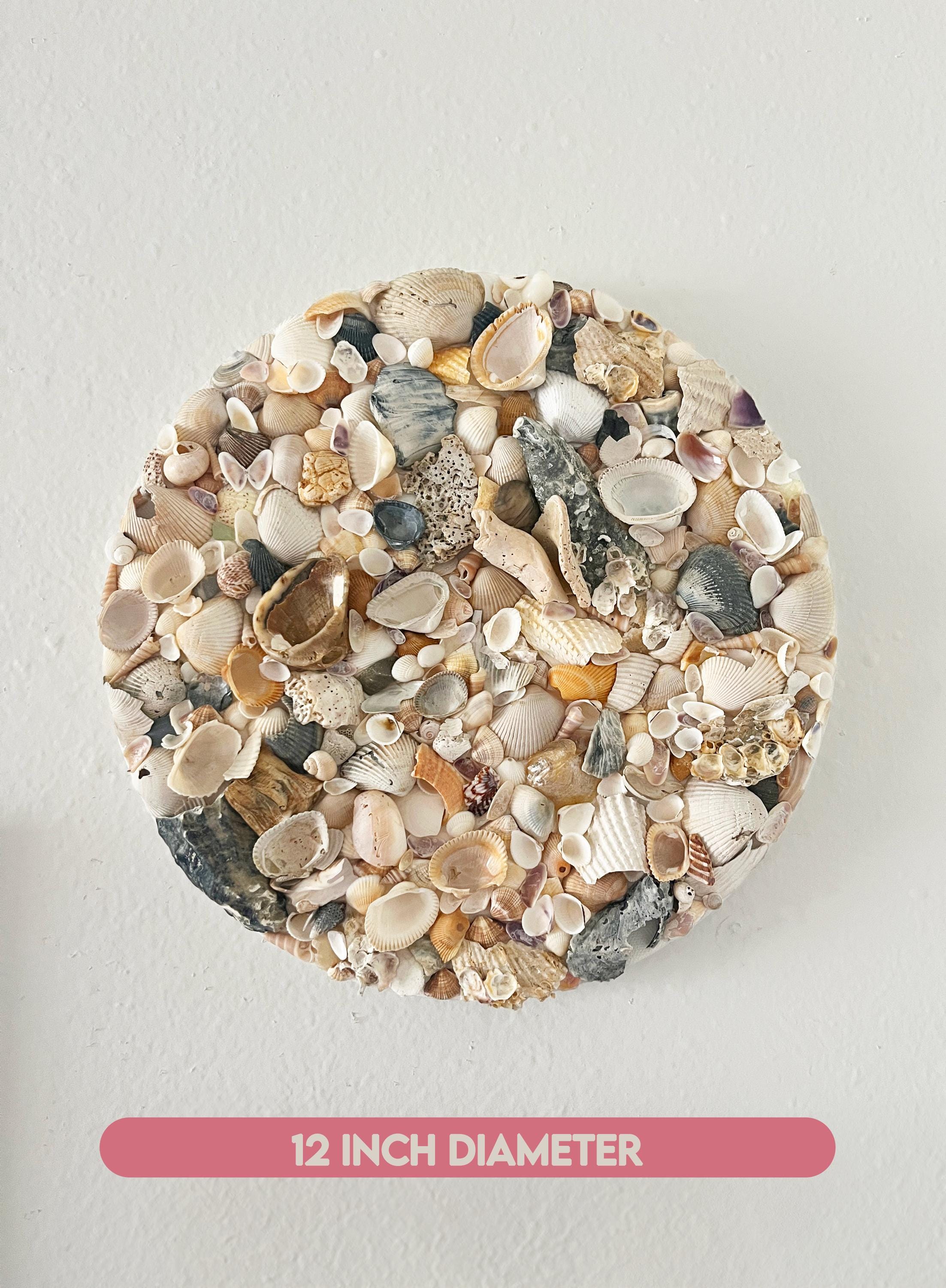 Real Seashell Collage Art - Etsy