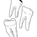 Oddities Coloring Pages- Over 100 Creepy Cute, Unsettling, and Offbeat ...