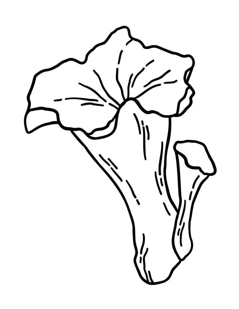 Printable Mushroom Coloring Pages Over 100 Designs Instant Download PDF ...
