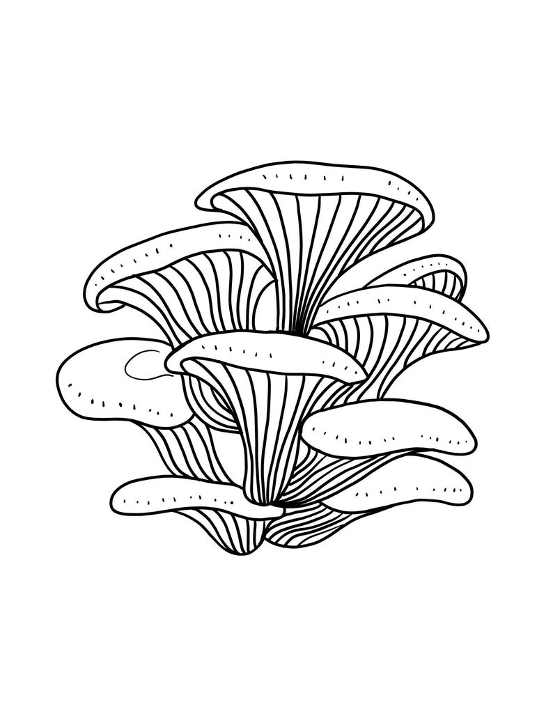 Printable Mushroom Coloring Pages Over 100 Designs Instant Download PDF ...