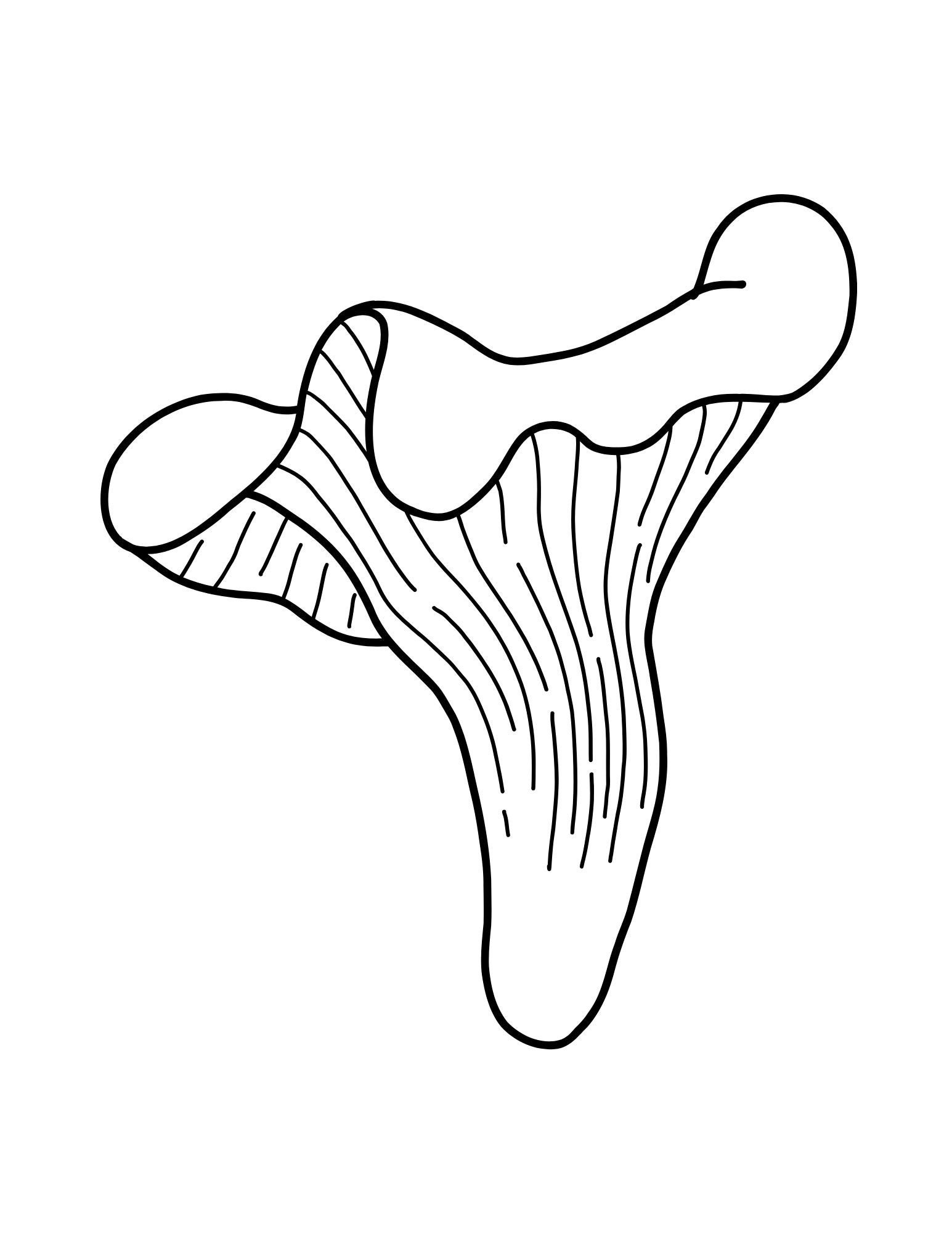 Printable Mushroom Coloring Pages- Over 100 Designs! Instant Download ...