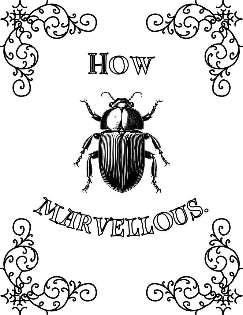 Printable POOR THINGS Coloring Pages Inspired by the Oscar-winning ...