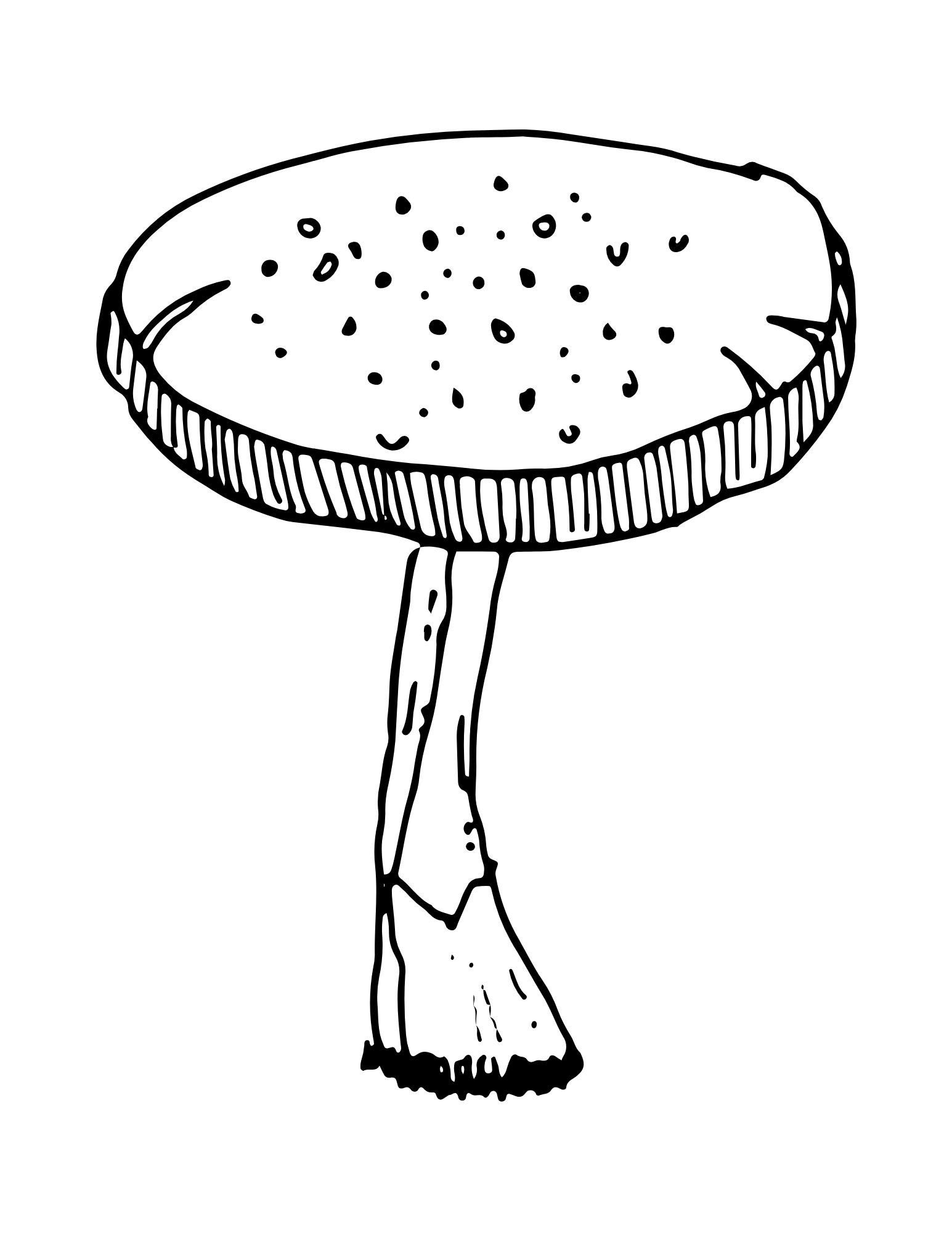 Printable Mushroom Coloring Pages- Over 100 Designs! Instant Download ...
