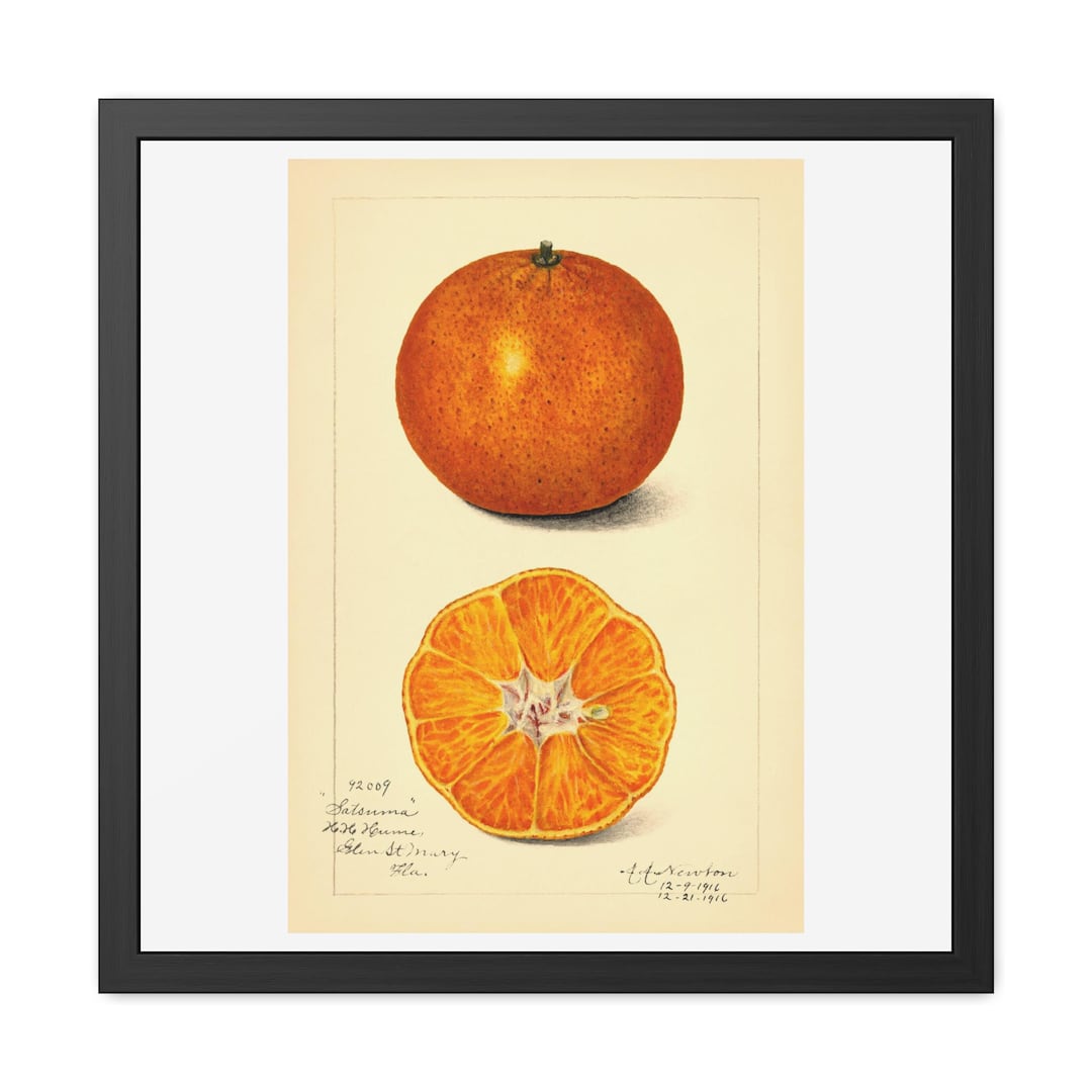 Vintage Orange Poster - Etsy