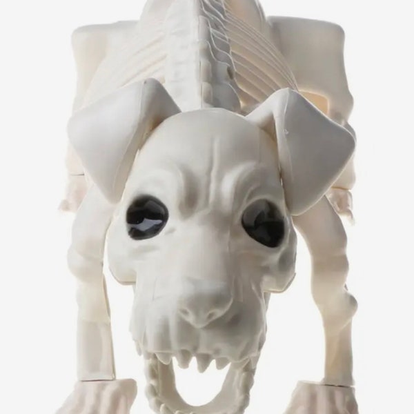 Dog Skeleton - Etsy
