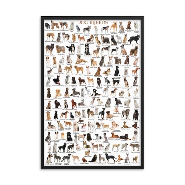 Dog Breeds Poster - Etsy