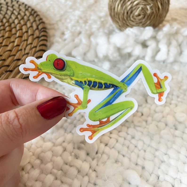 Tree Frog Clear Border Sticker 3.5 X 2.15 Vinyl Green Treefrog Die Cut ...