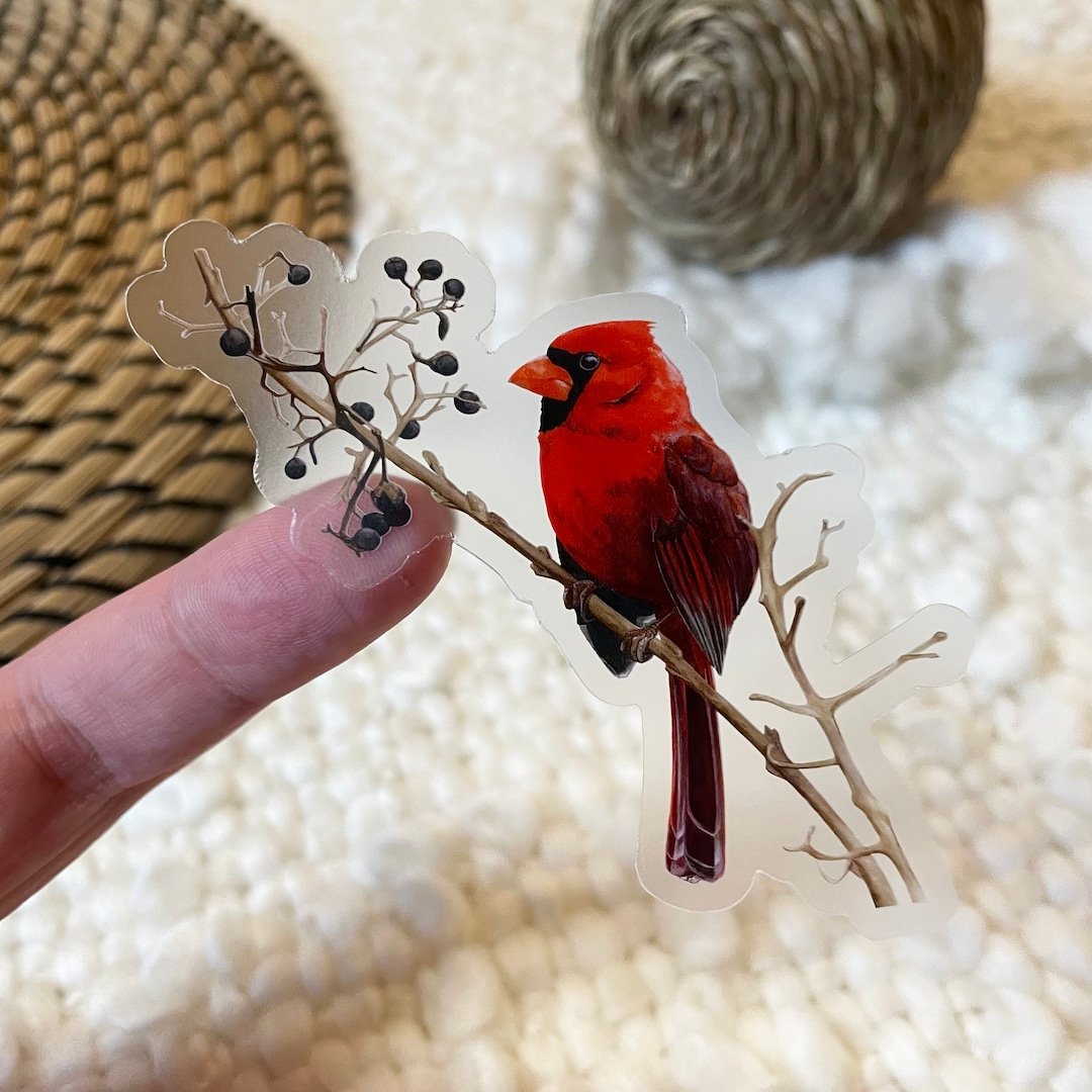 Cardinal Bird Vinyl Sticker: Clear Border, Waterproof, Dishwasher Safe ...