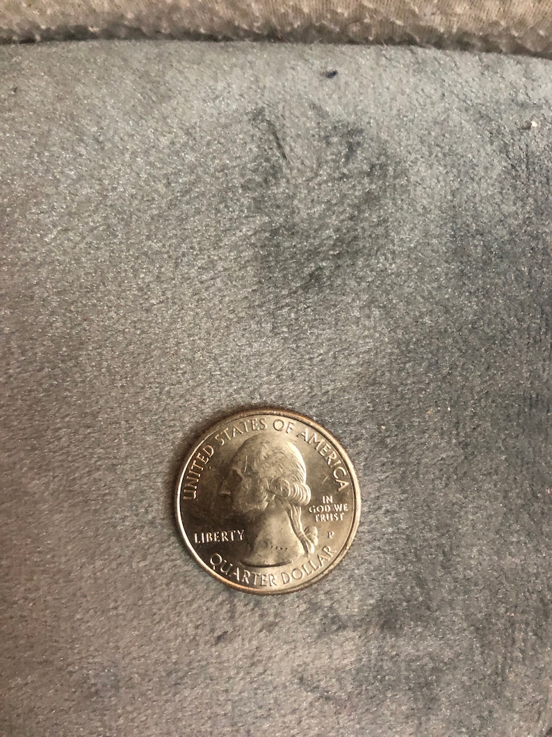 Bat 2020 Quarter - Etsy