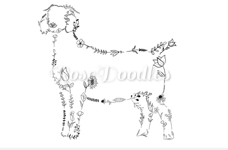 Show Doe Flower Outline - Etsy