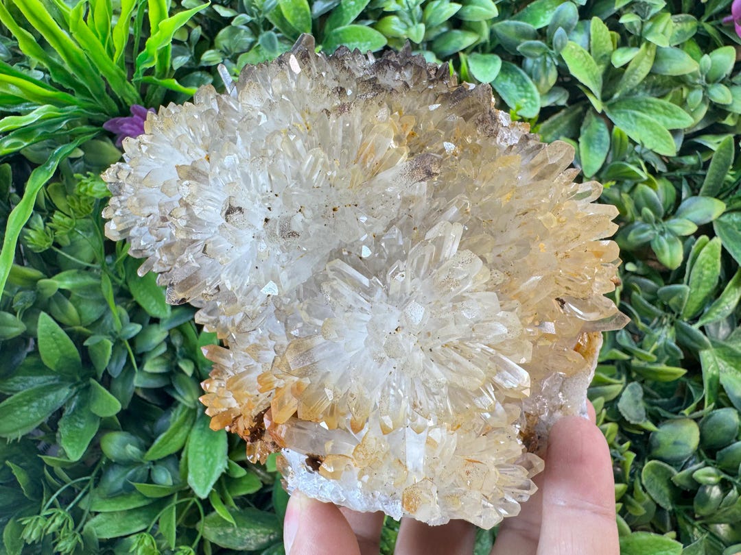 Quartz Limonite Hematite Madan- Bulgaria Natural Crystals, Minerals ...