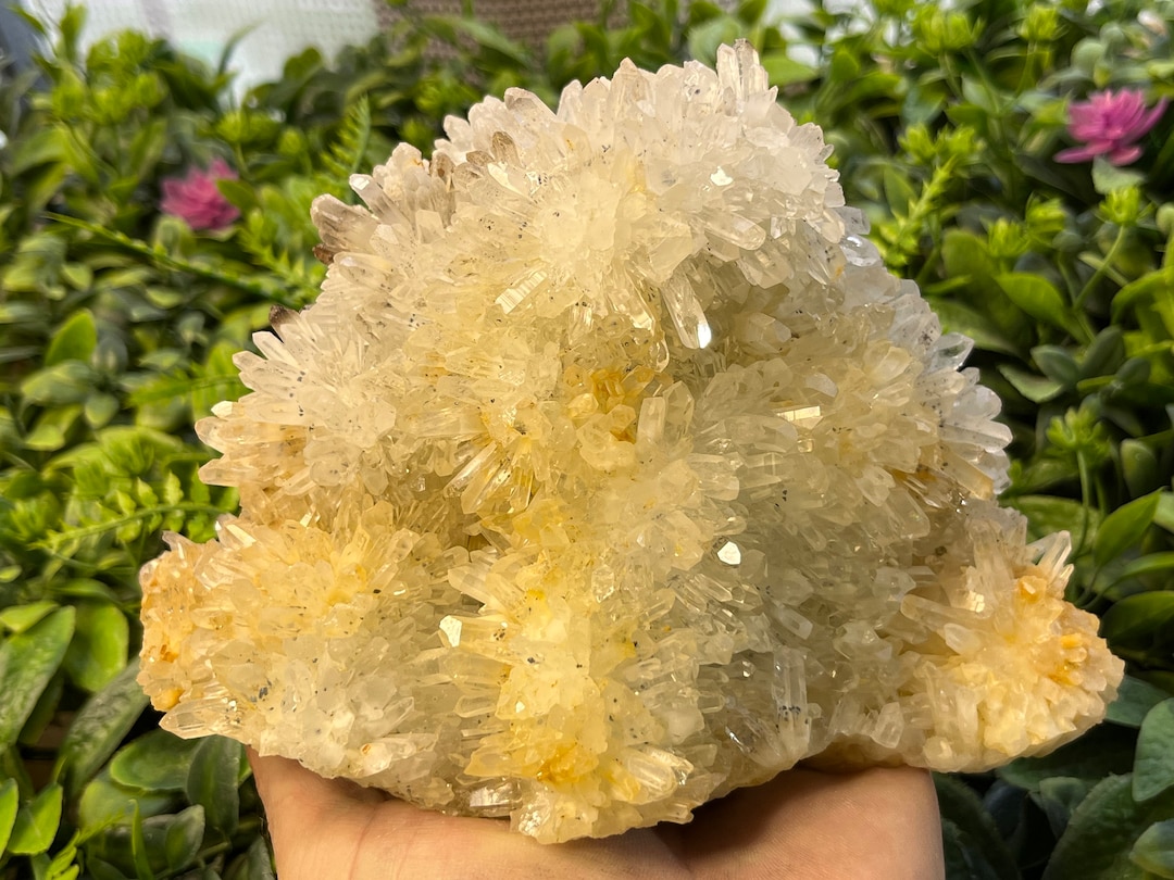 Quartz Limonite Madan Bulgaria Natural Crystal Minerals Specimen ...