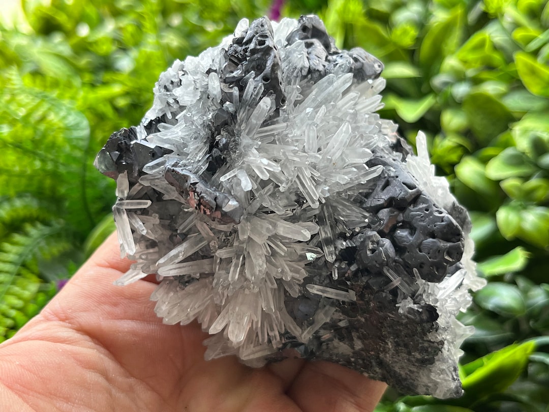 Quartz Galena Madan Bulgaria Natural Crystals, Minerals, Specimens ...