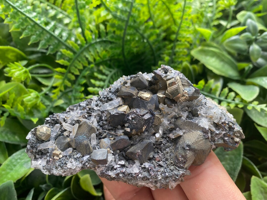 Quartz Galena Sphalerite Chalcopyrite Pyrite From Madan Bulgaria ...