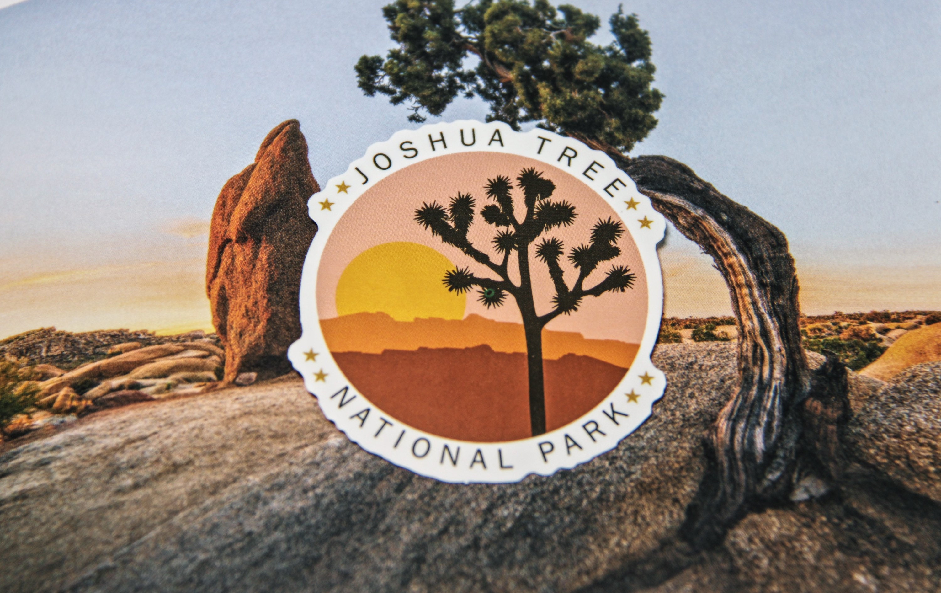 California Travel Stickers:joshua Tree, Malibu, Santa Cruz National ...
