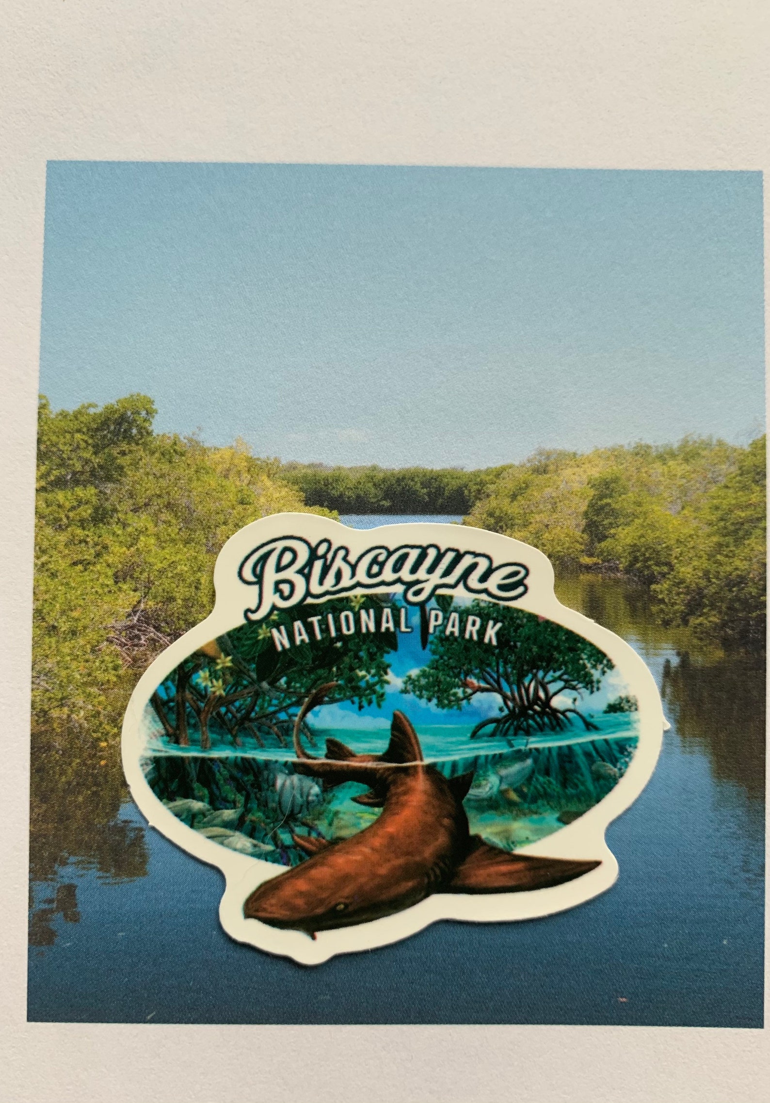 Florida Travel National Parks Stickers Everglades Dry Tortugas Biscayne ...