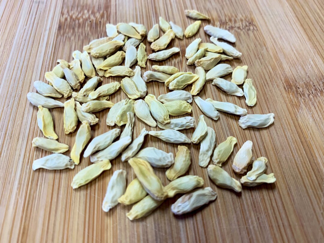 Kaffir Limes Seeds, Seeds for Planting, Makrut Seeds, Kaffir Lime Tree ...