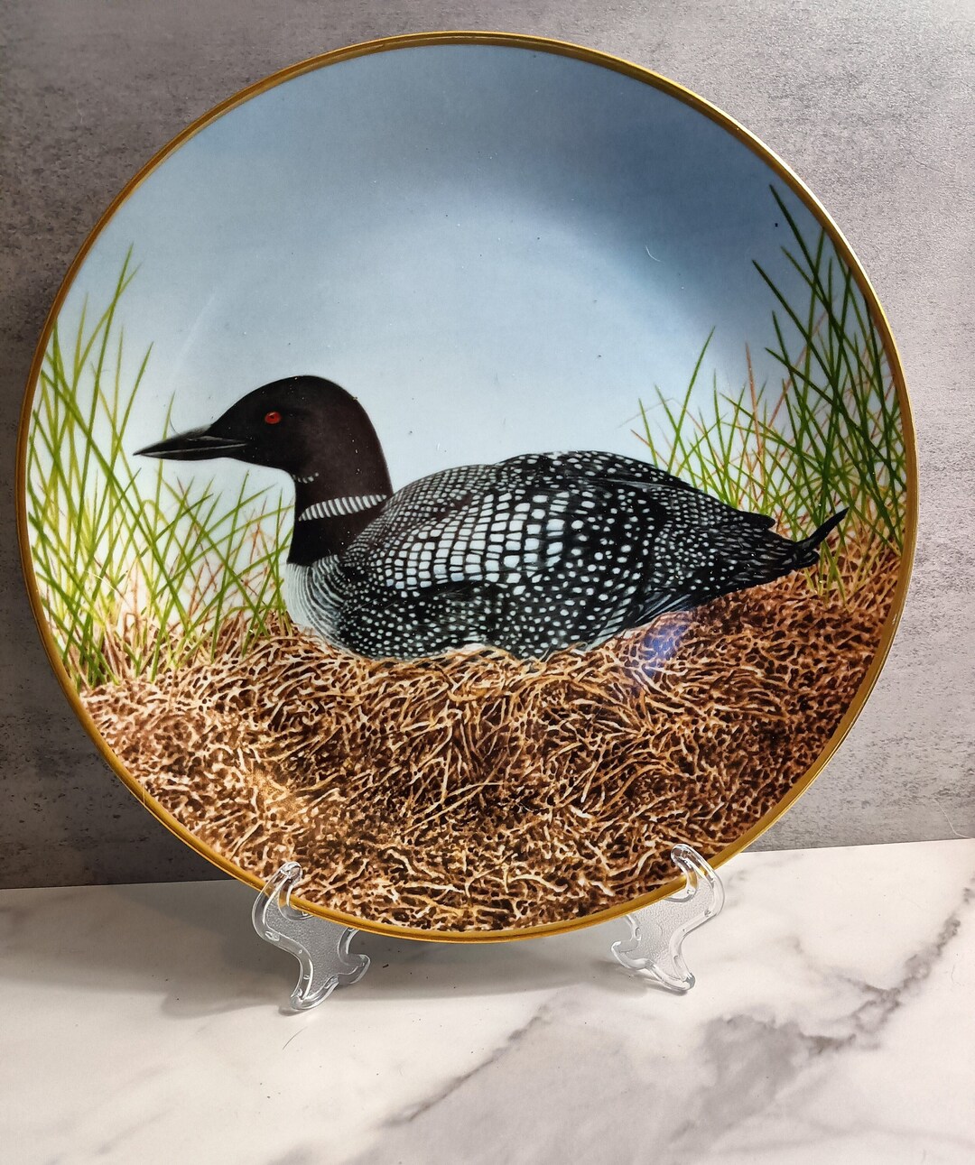 Loon Waterbird Plate by Eric Tenney Danbury Mint - Etsy