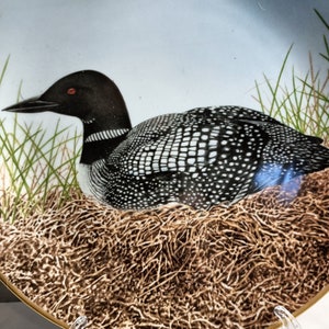 Loon Waterbird Plate by Eric Tenney Danbury Mint - Etsy