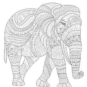 Adult Mandala Coloring Pages PDF| Printable Animal Coloring Pages ...