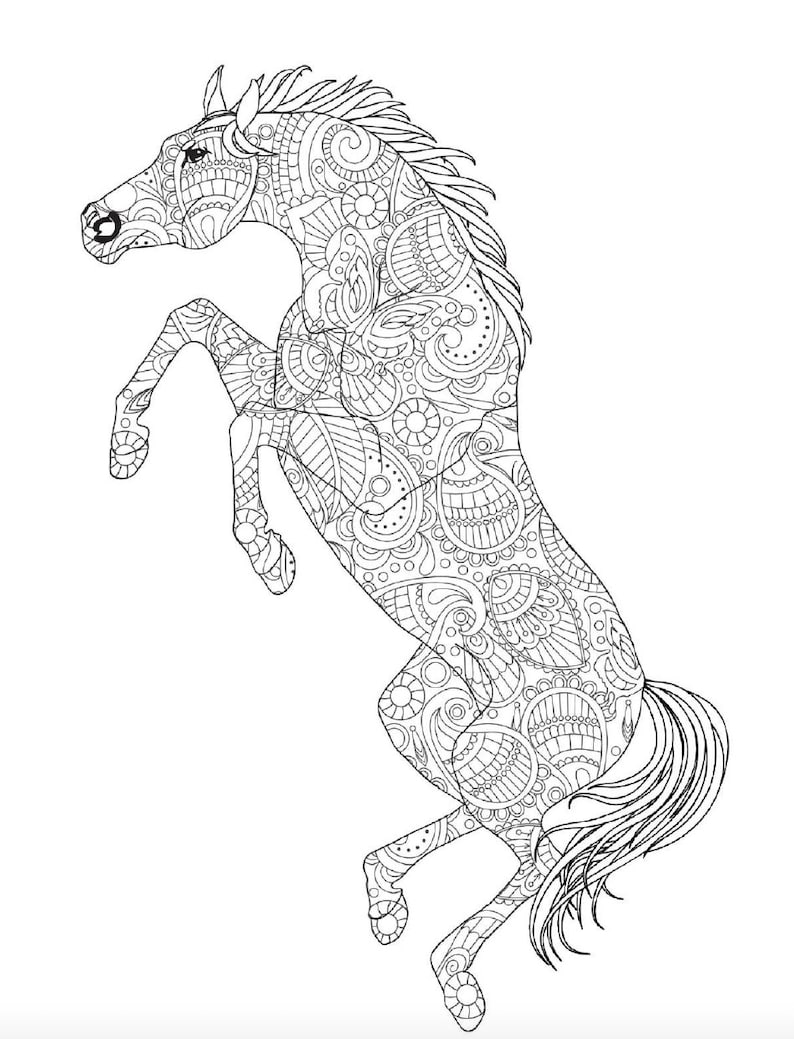 Adult Mandala Coloring Pages PDF| Printable Animal Coloring Pages ...