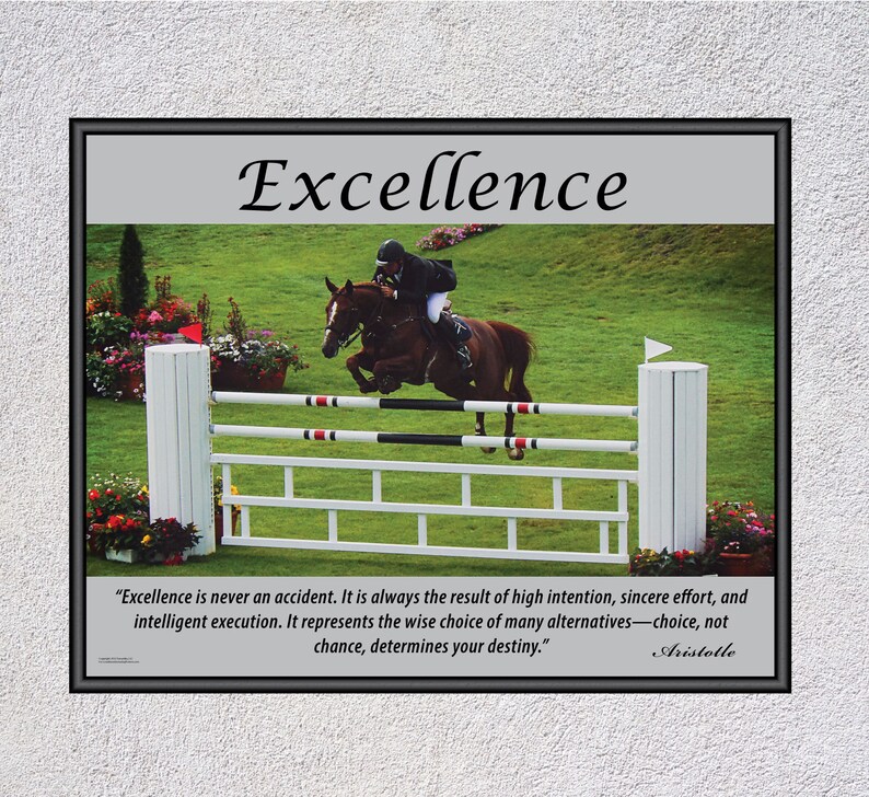 Excellence, Quote by Aristotle Poster for Business, Office, Wall Art ...