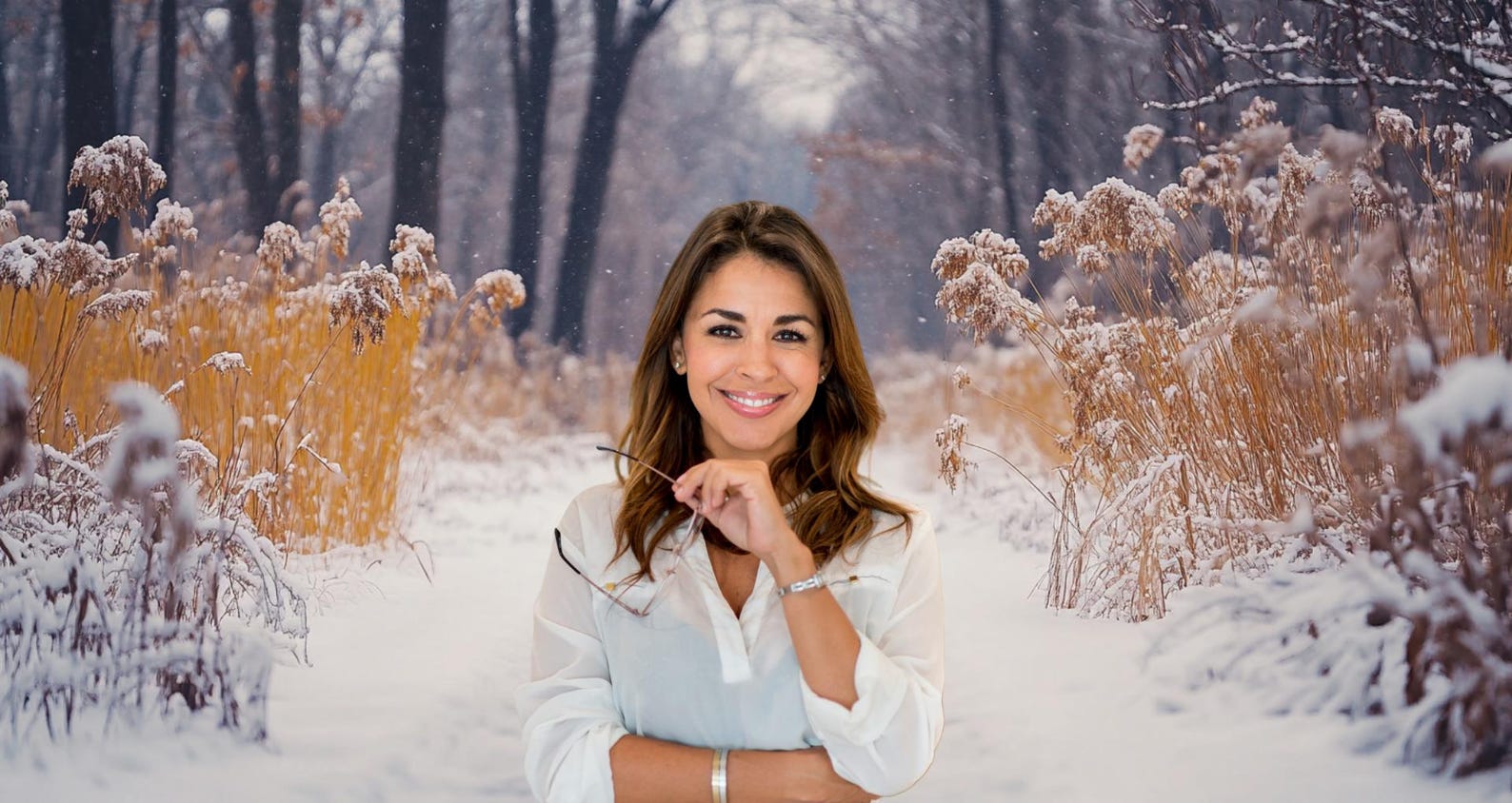 Zoom Background Winter Scenes 4 Versions | Virtual Office Background ...