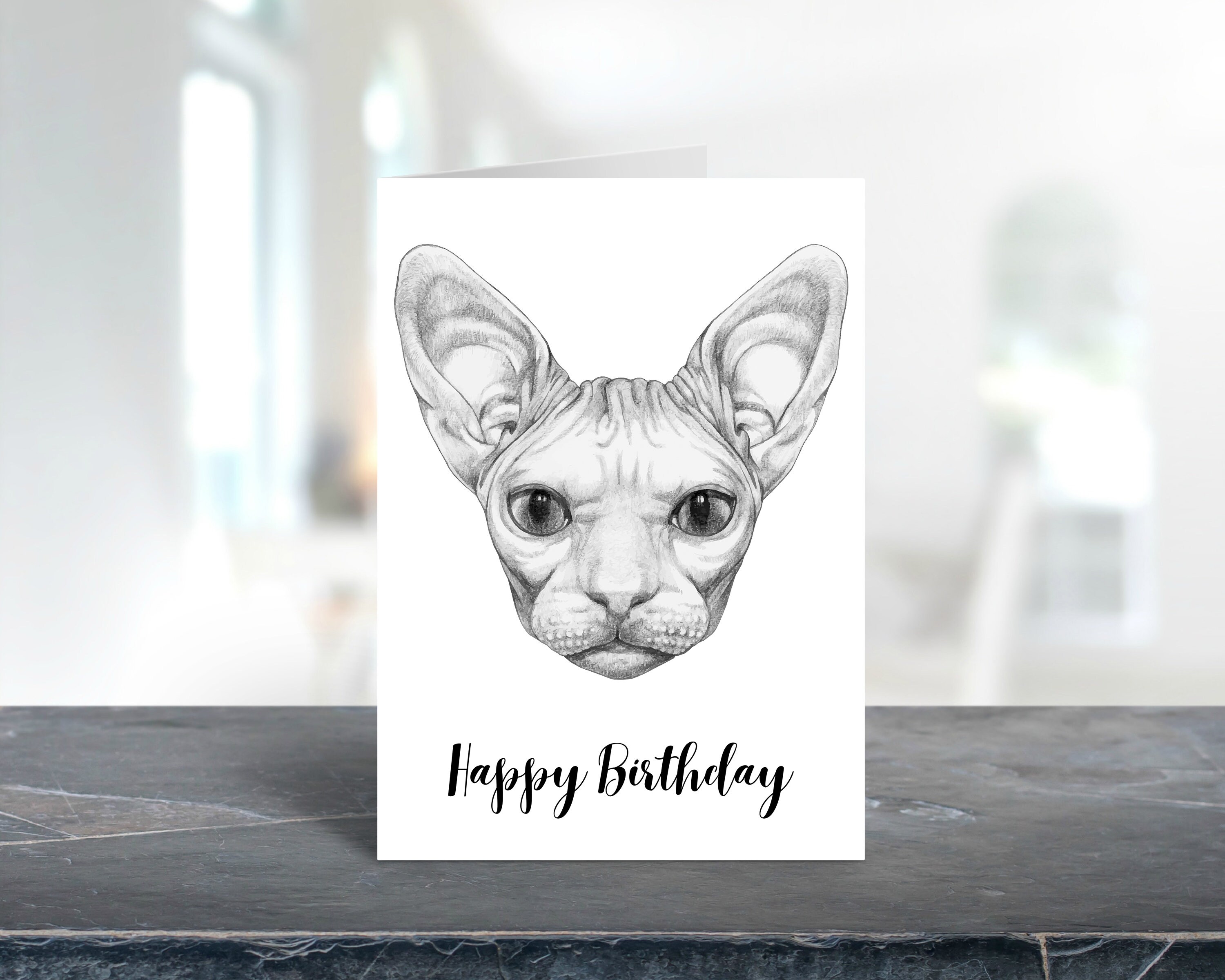 10 Pack Sphynx Cat Birthday Greeting Cards With Envelopes. - Etsy