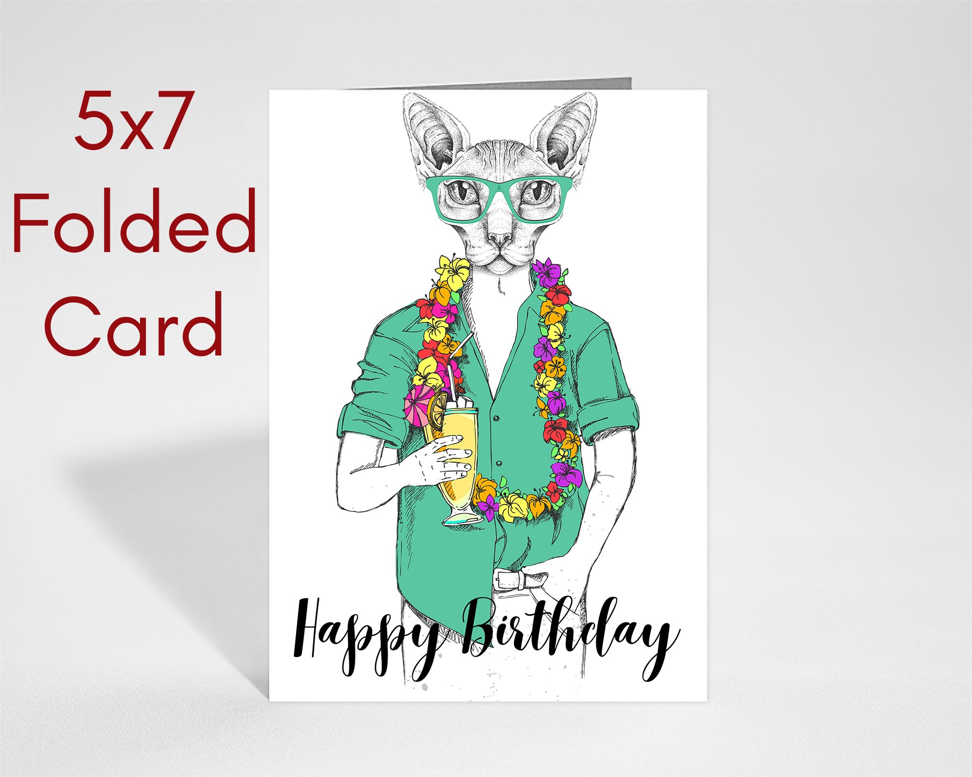 10 Pack Sphynx Cat Birthday Greeting Cards & Envelopes. Funny - Etsy