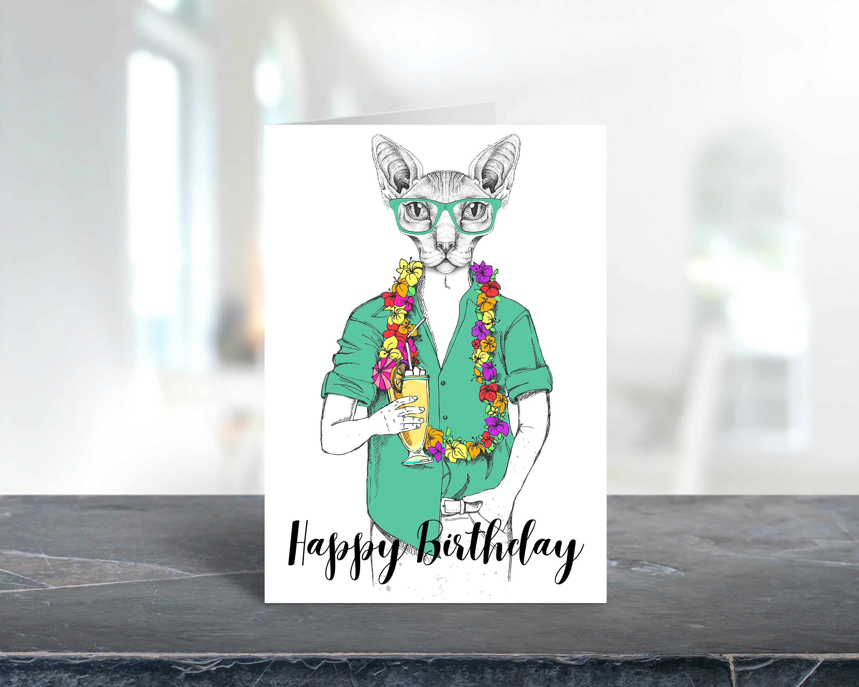 10 Pack Sphynx Cat Birthday Greeting Cards & Envelopes. Funny - Etsy