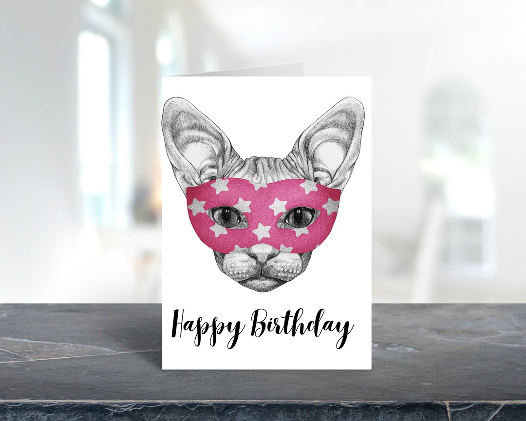 10 Pack Sphynx Cat Birthday Greeting Cards & Envelopes. Funny - Etsy