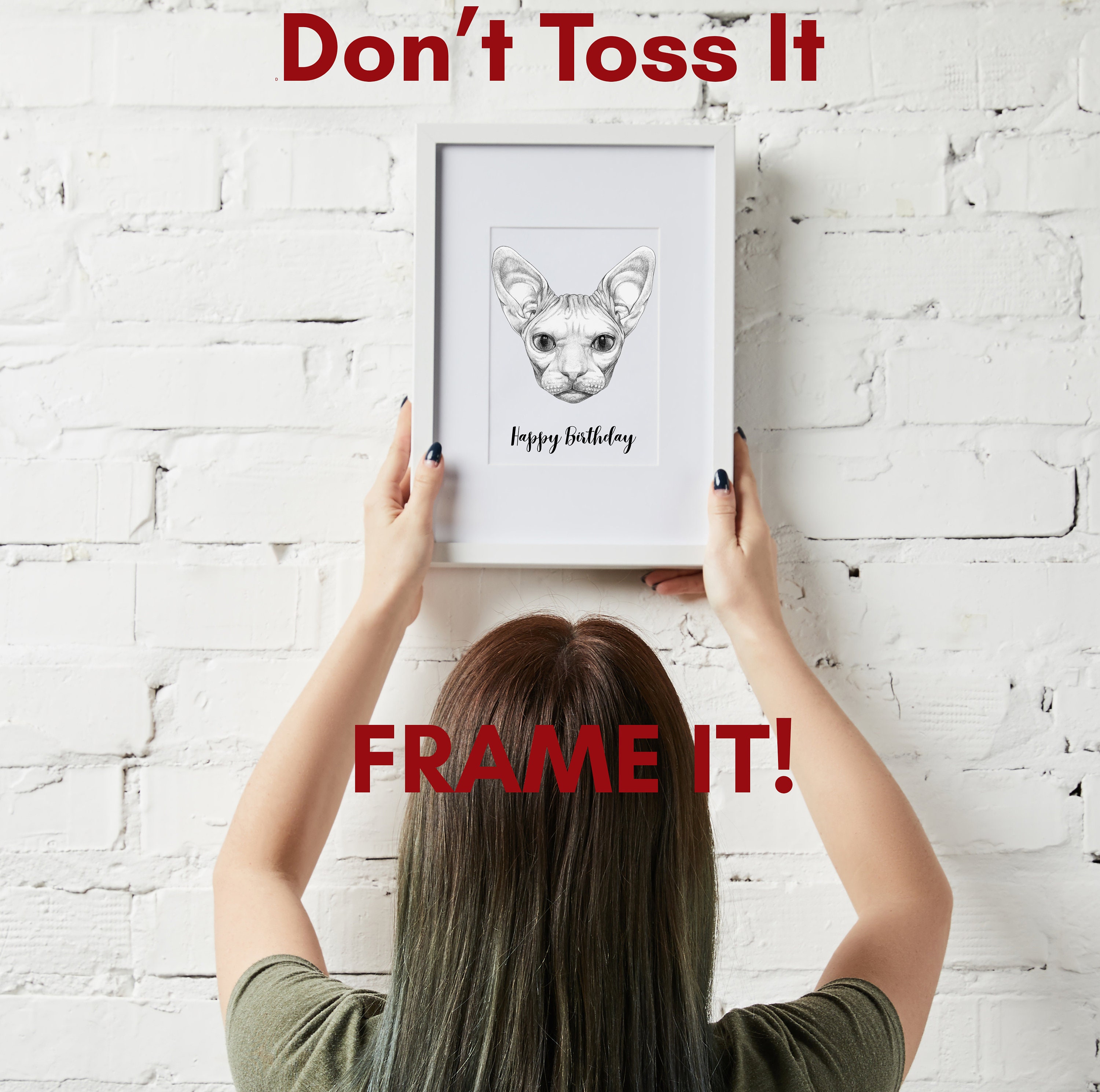 10 Pack Sphynx Cat Birthday Greeting Cards With Envelopes. - Etsy