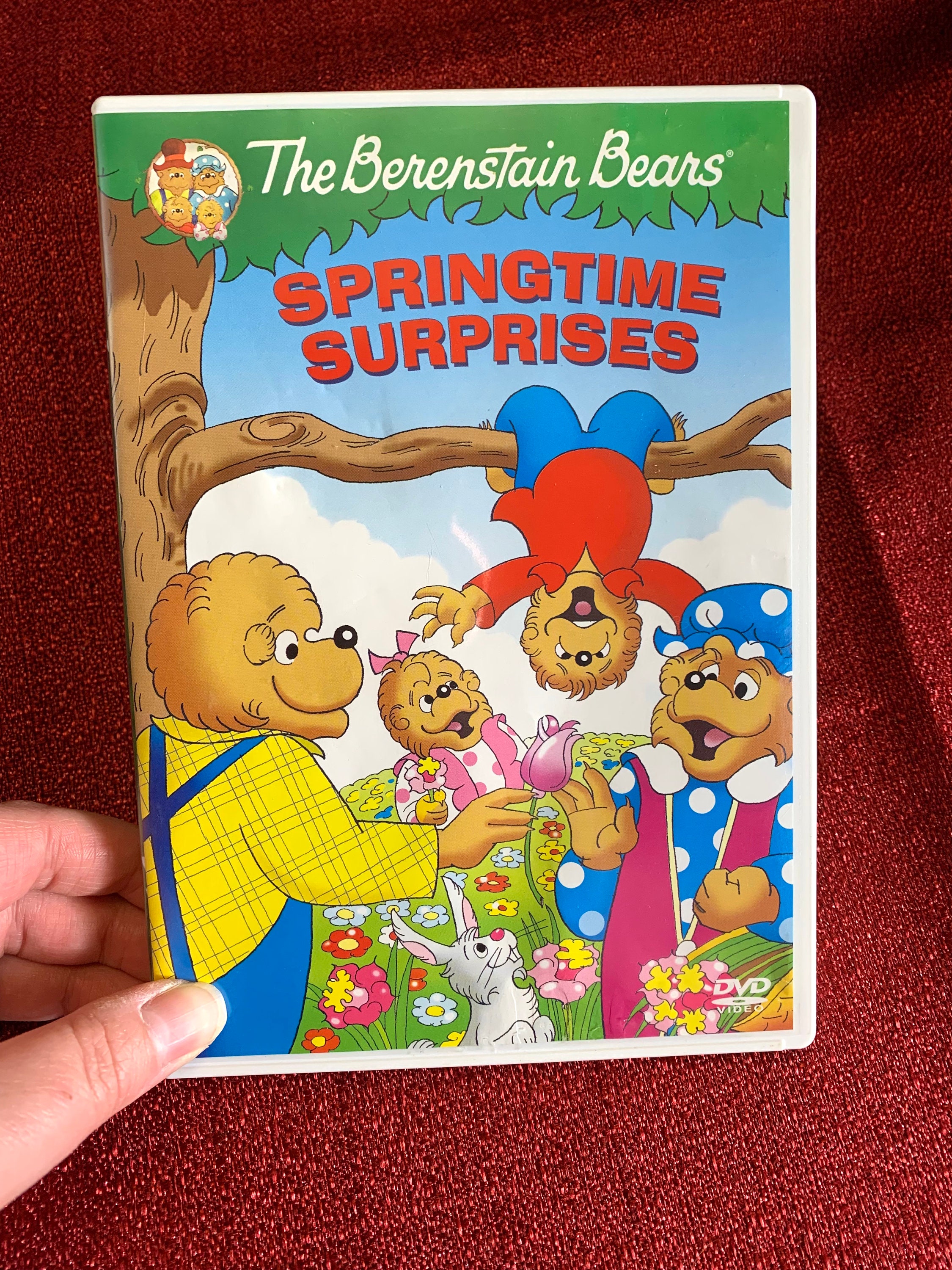 The Berenstain Bears Springtime Surprises – NLNE