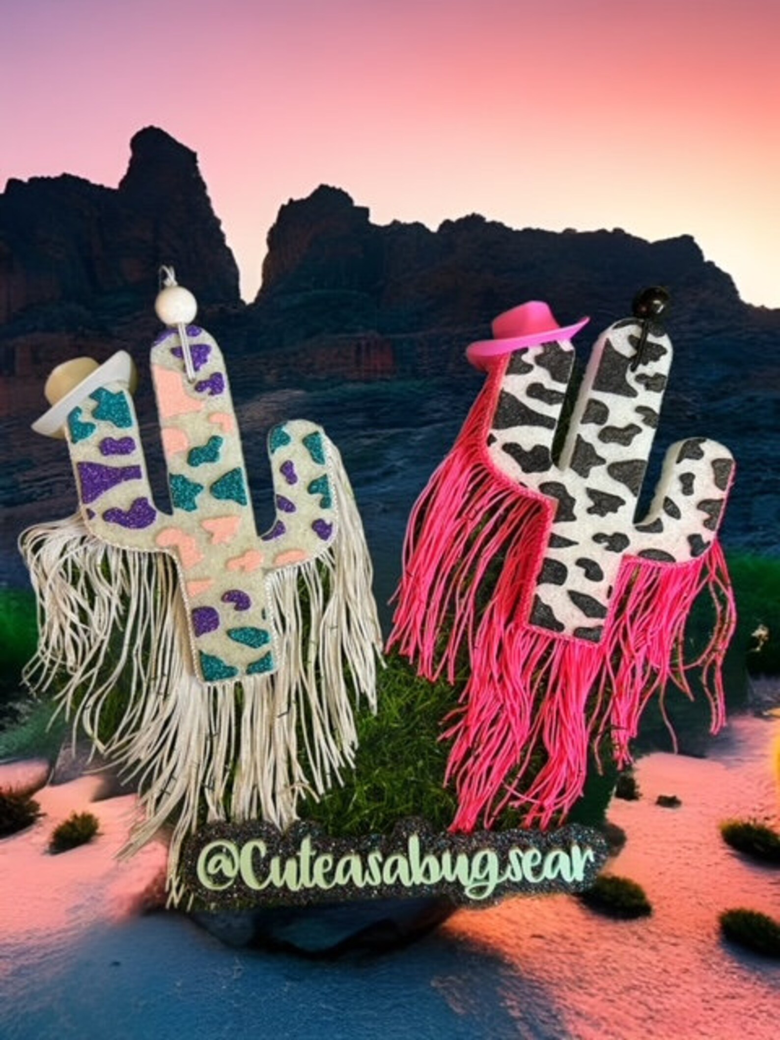 Cowboy Cactus Freshie - Etsy
