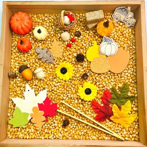 Fall Sensory Bin, Fall Activity, Autumn Sensory Kit, Sensory Box, Play ...