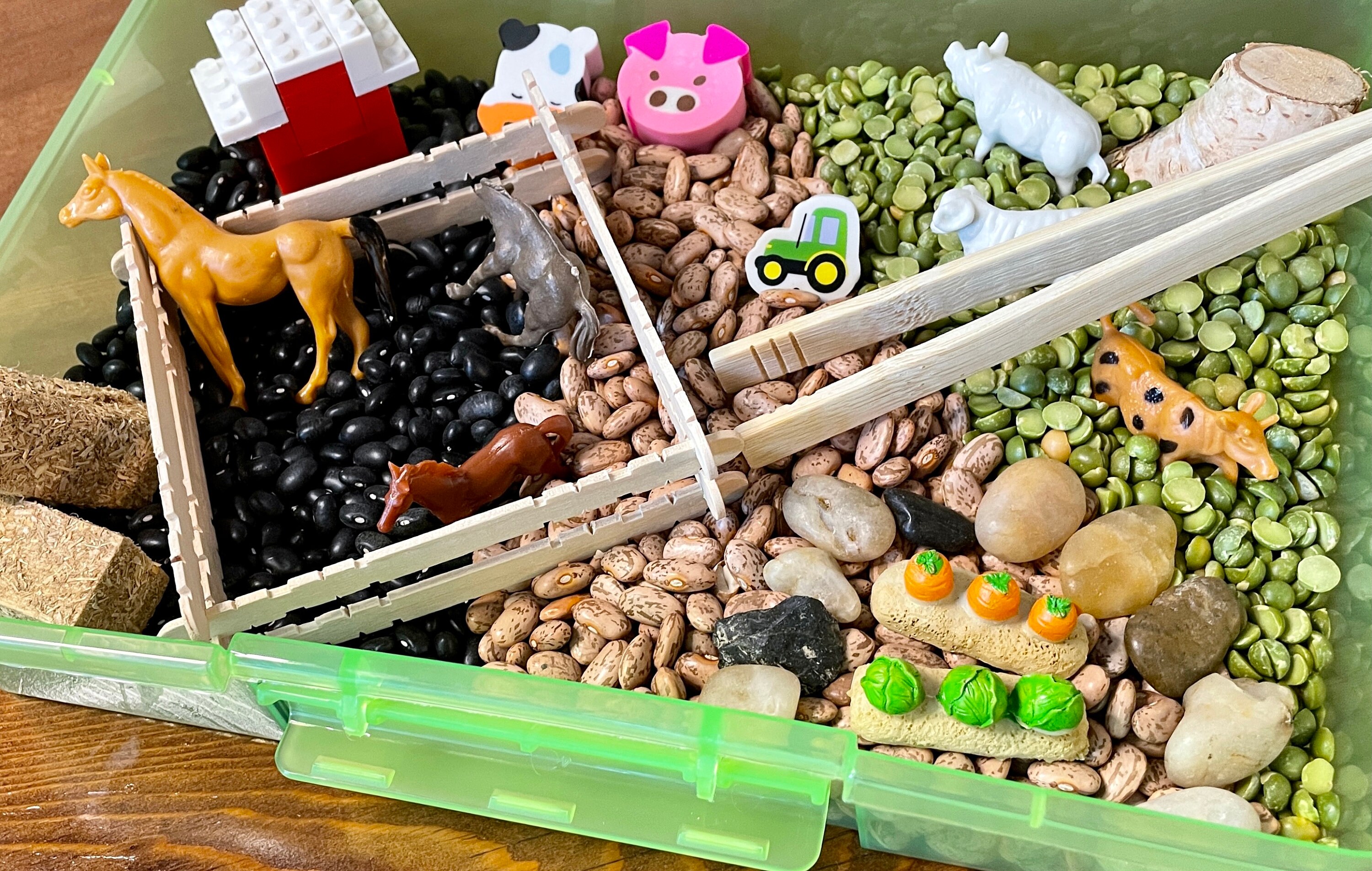 Farm Sensory Bin, Farm Activity Kit, Sensory Toy, Sensory Box, Sensory ...