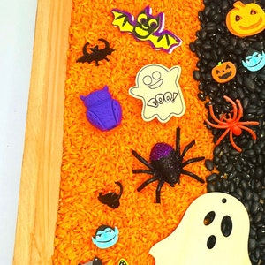 Halloween Sensory Bin, Halloween Activity, Sensory Kit, Spooky Sensory ...