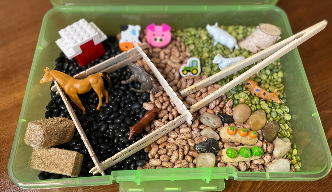 Farm Sensory Bin, Farm Activity Kit, Sensory Toy, Sensory Box, Sensory ...