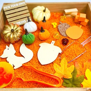 Fall Toddler Sensory Bin, Fall Activity, Sensory Kit, Sensory Box ...