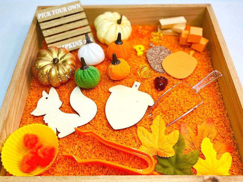 Fall Toddler Sensory Bin, Fall Activity, Sensory Kit, Sensory Box ...