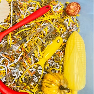 Thanksgiving Activity, Thanksgiving Sensory Bin, Toddler Play, Fall ...