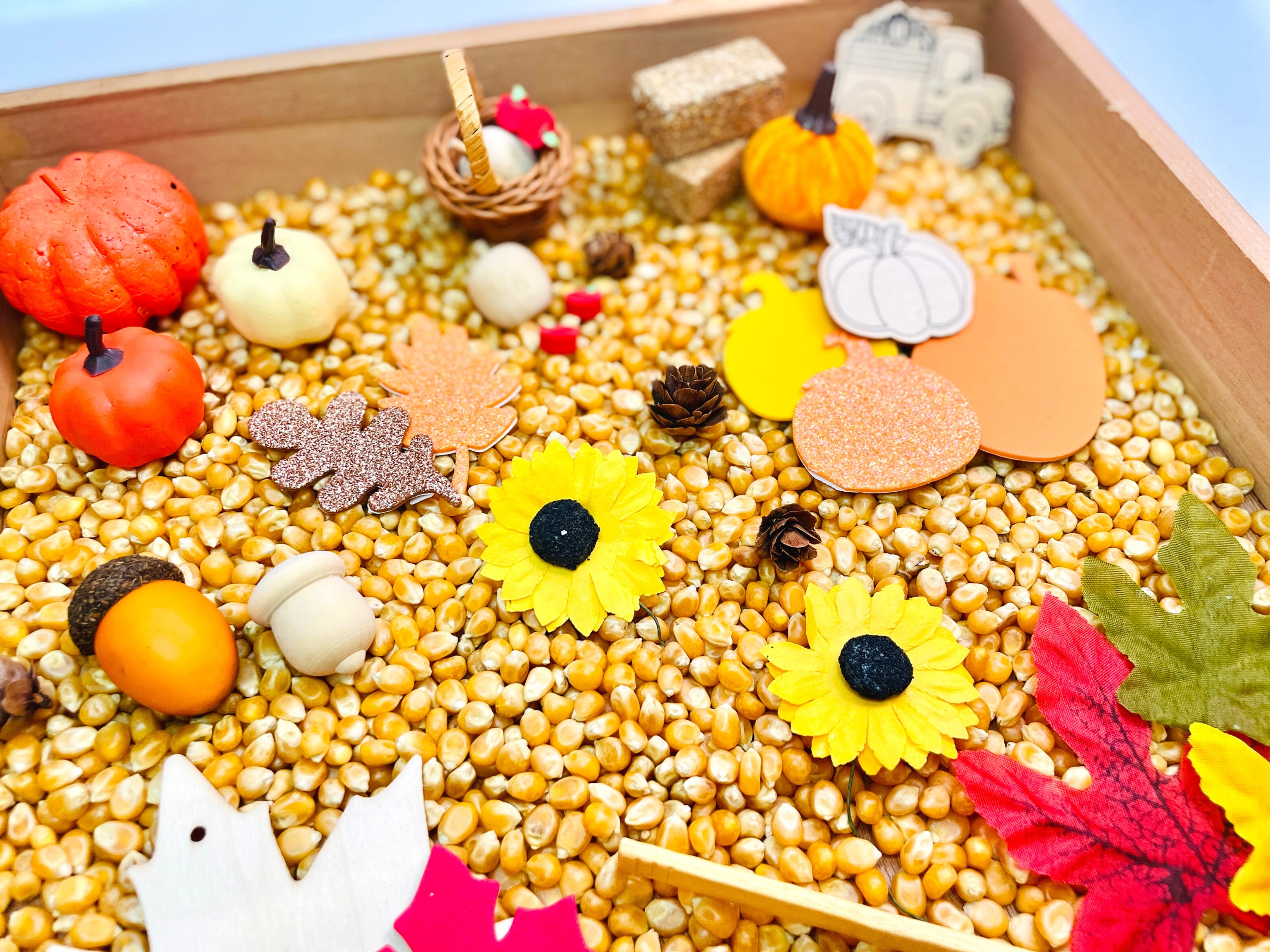 Fall Sensory Bin, Fall Activity, Autumn Sensory Kit, Sensory Box, Play ...