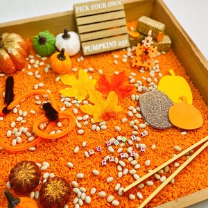 Pumpkin Patch Sensory Bin, Fall Activity, Pumpkins Sensory Kit, Sensory ...