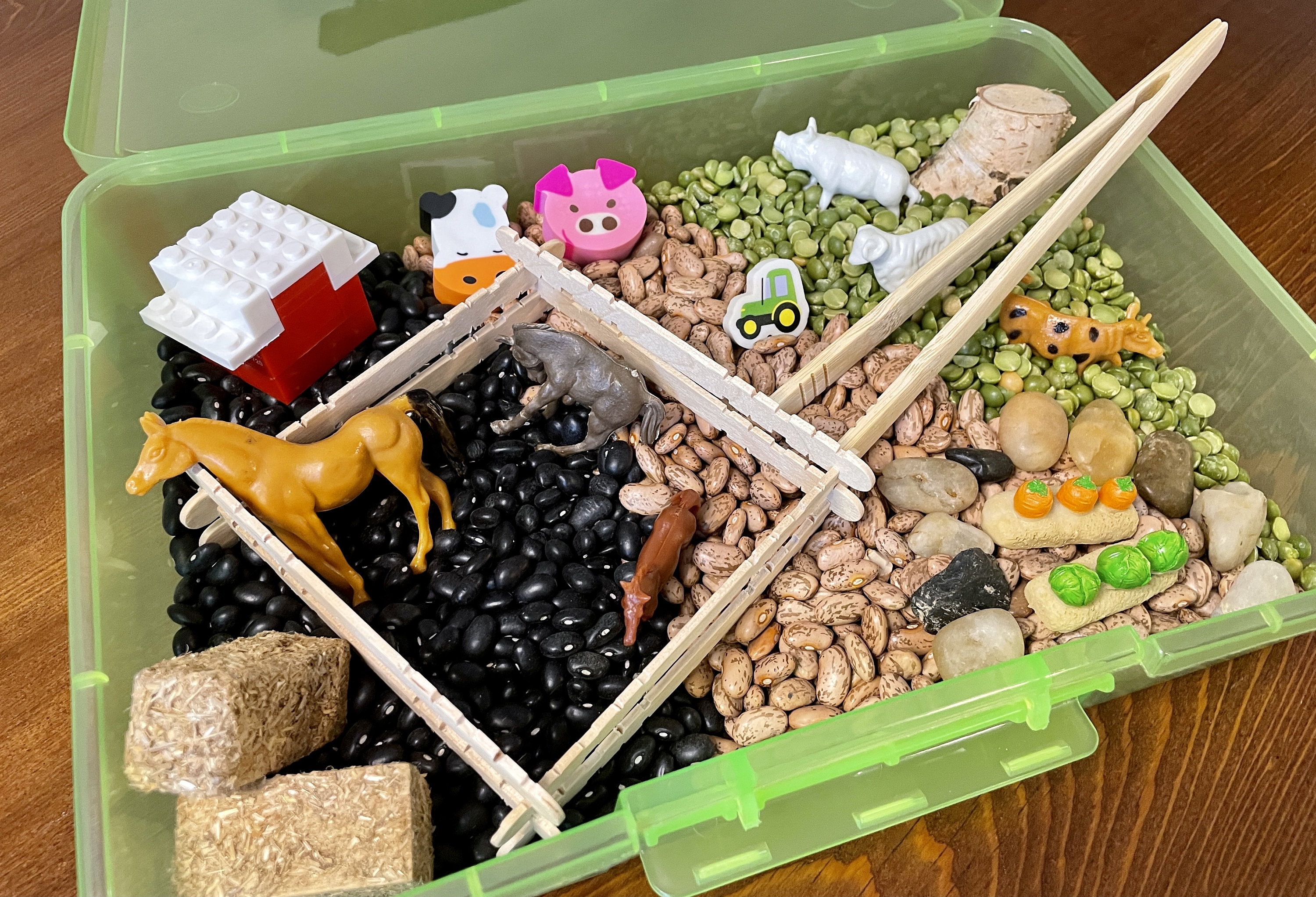 Farm Sensory Bin, Farm Activity Kit, Sensory Toy, Sensory Box, Sensory ...