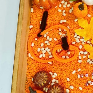 Pumpkin Patch Sensory Bin, Fall Activity, Pumpkins Sensory Kit, Sensory ...