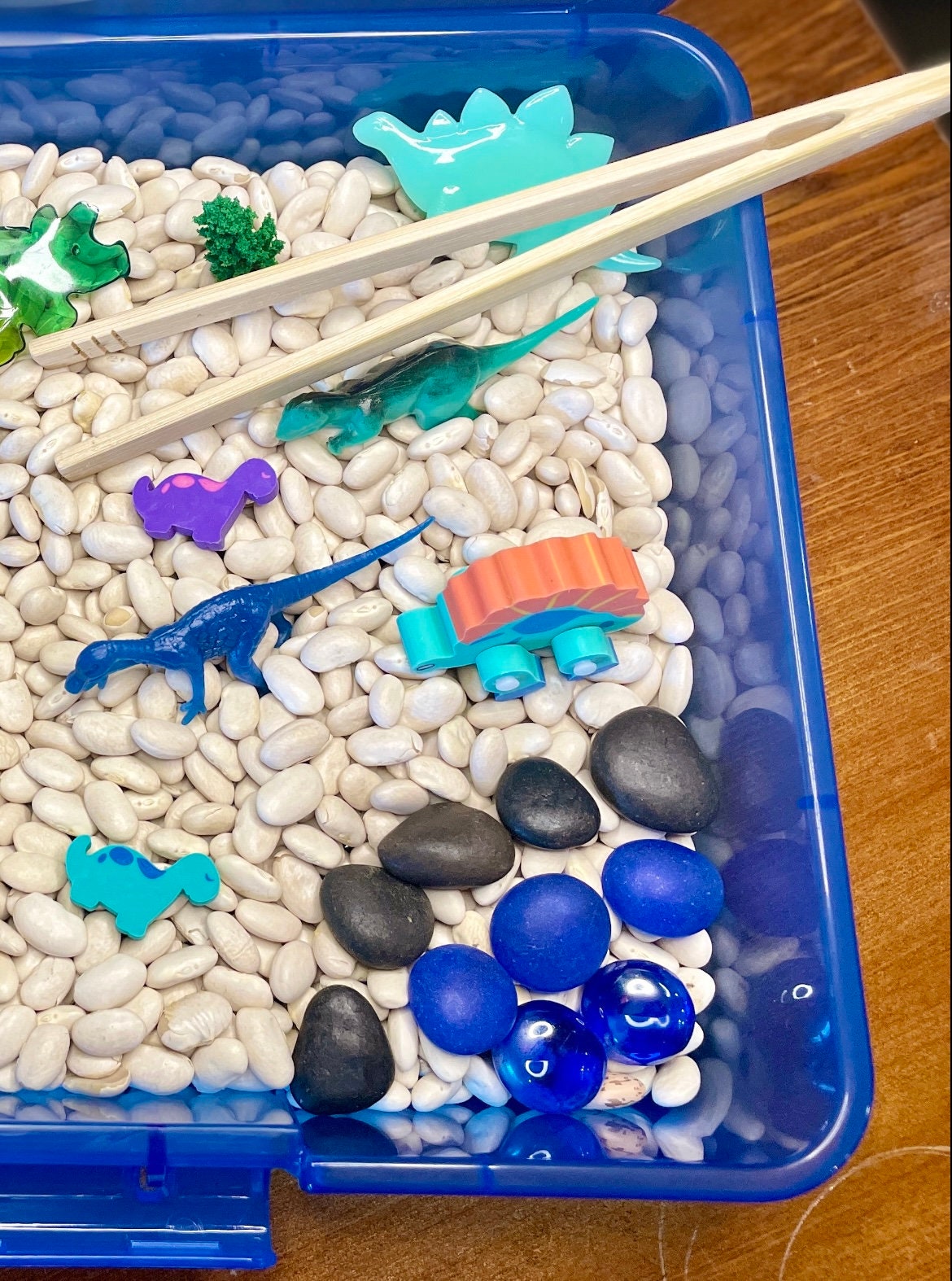Dinosaur Sensory Bin Activity Kit Pretend Play Sensory Toy - Etsy