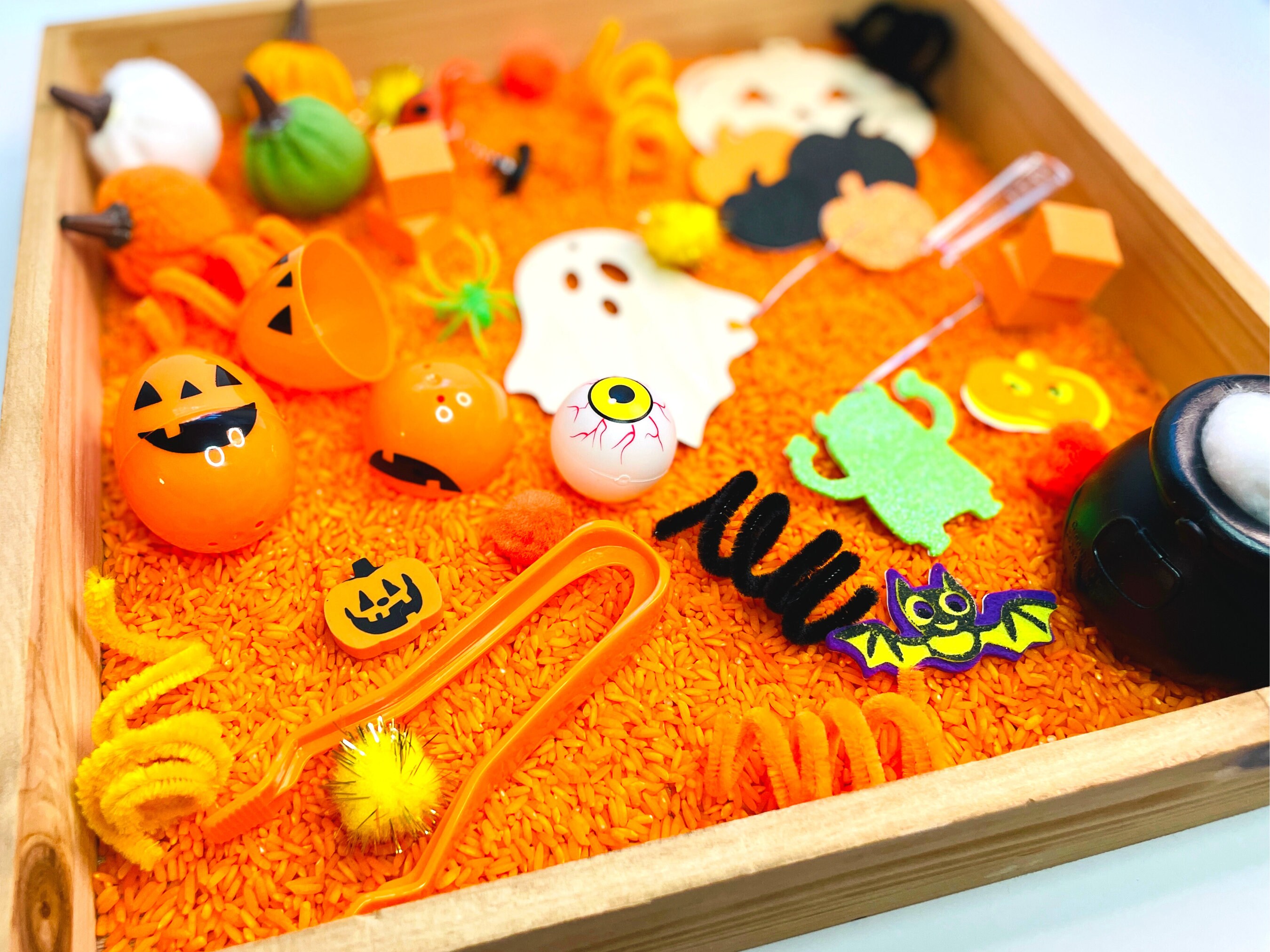 Halloween Toddler Sensory Bin, Halloween Activity, Sensory Kit, Sensory ...