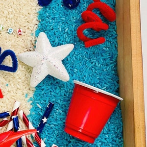 July 4th Sensory Bin, 4th of July Activity, Sensory Play, Sensory Kit ...