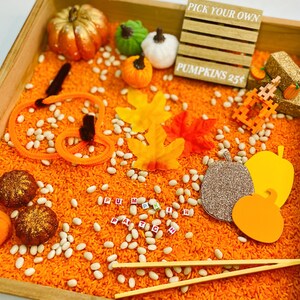 Pumpkin Patch Sensory Bin, Fall Activity, Pumpkins Sensory Kit, Sensory ...