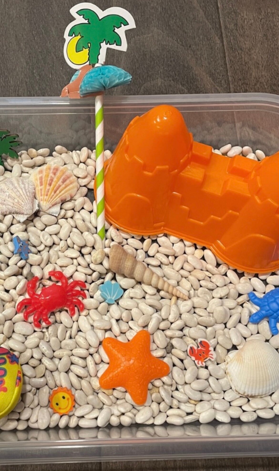 Sensory Play Learning Kit Activity Box-ALL printed/laminated,READY to ...